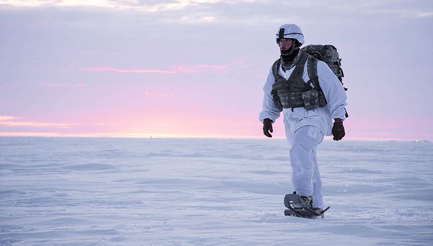 Army Reactivates 11th Airborne Division in Alaska