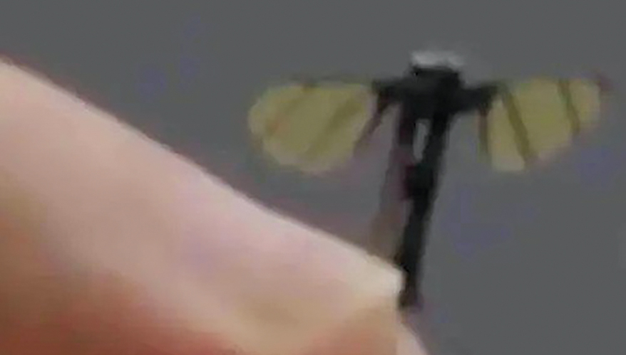 COMMENTARY: Insect-Sized Microdrones: A Tiny Vector for Big Biothreats